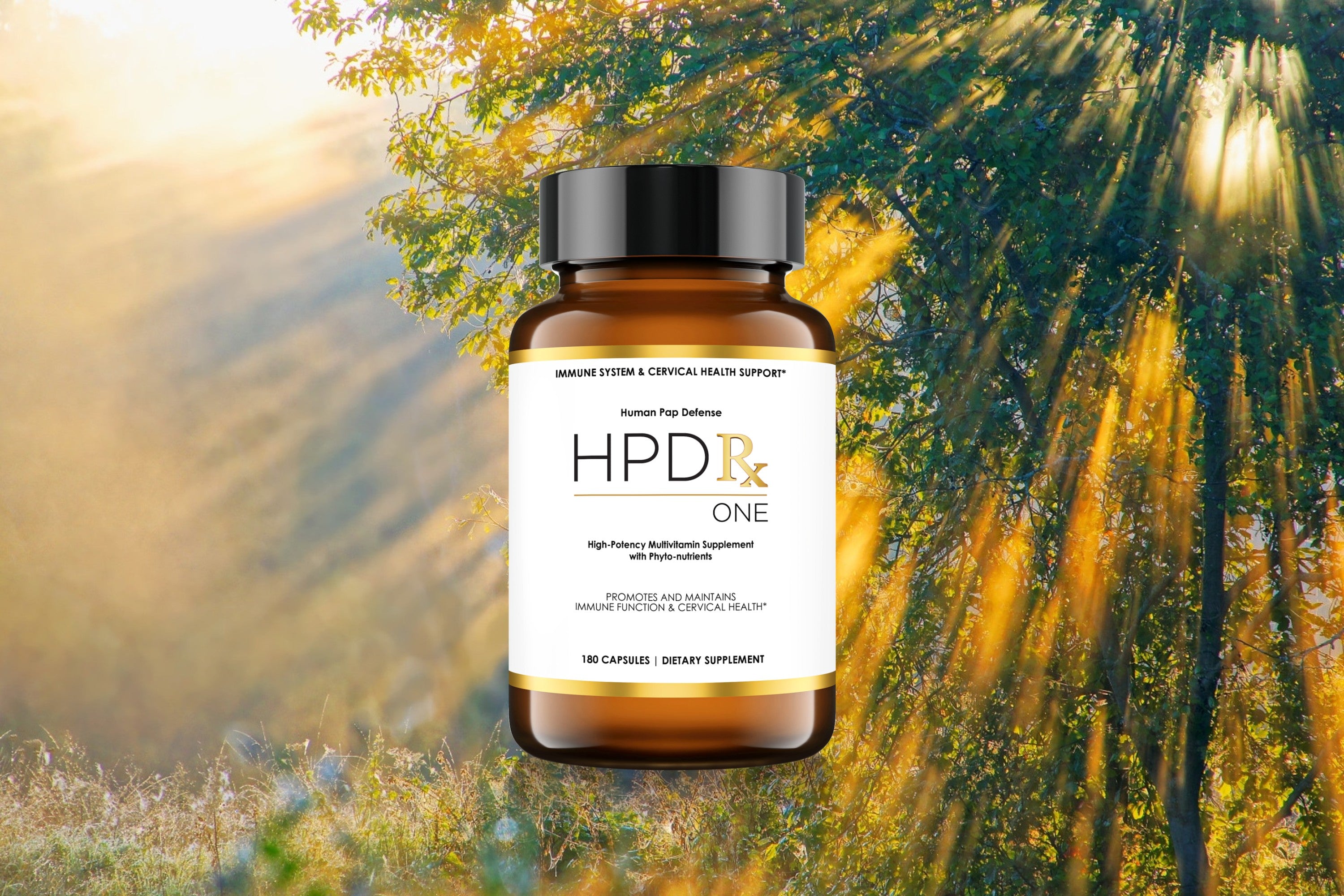 HPDRx ONE | The Multivitamin for Immunity &Reproductive Health – HPD Rx